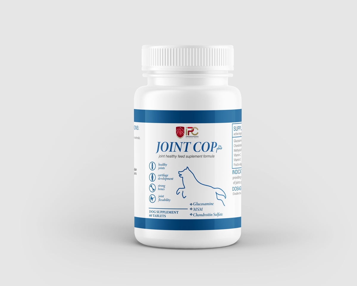 JOINT COP 60 TABLETS| Zima Pets